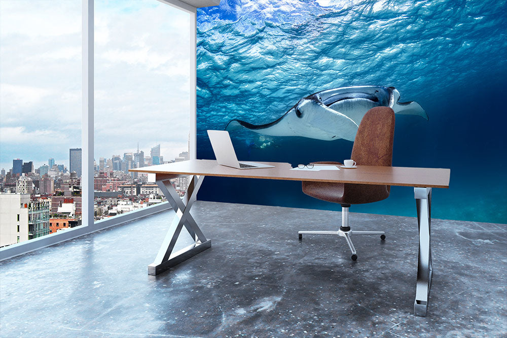 Manta Ray Wall Mural Wallpaper | Canvas Art Rocks – Canvas Art Rocks US