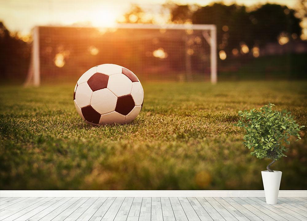soccer ball sunset